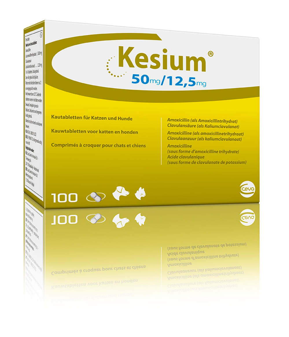 Kesium 50 mg / 12,5 mg / Tabletten / Amoxicilline; Clavulaanzuur / 100 ...