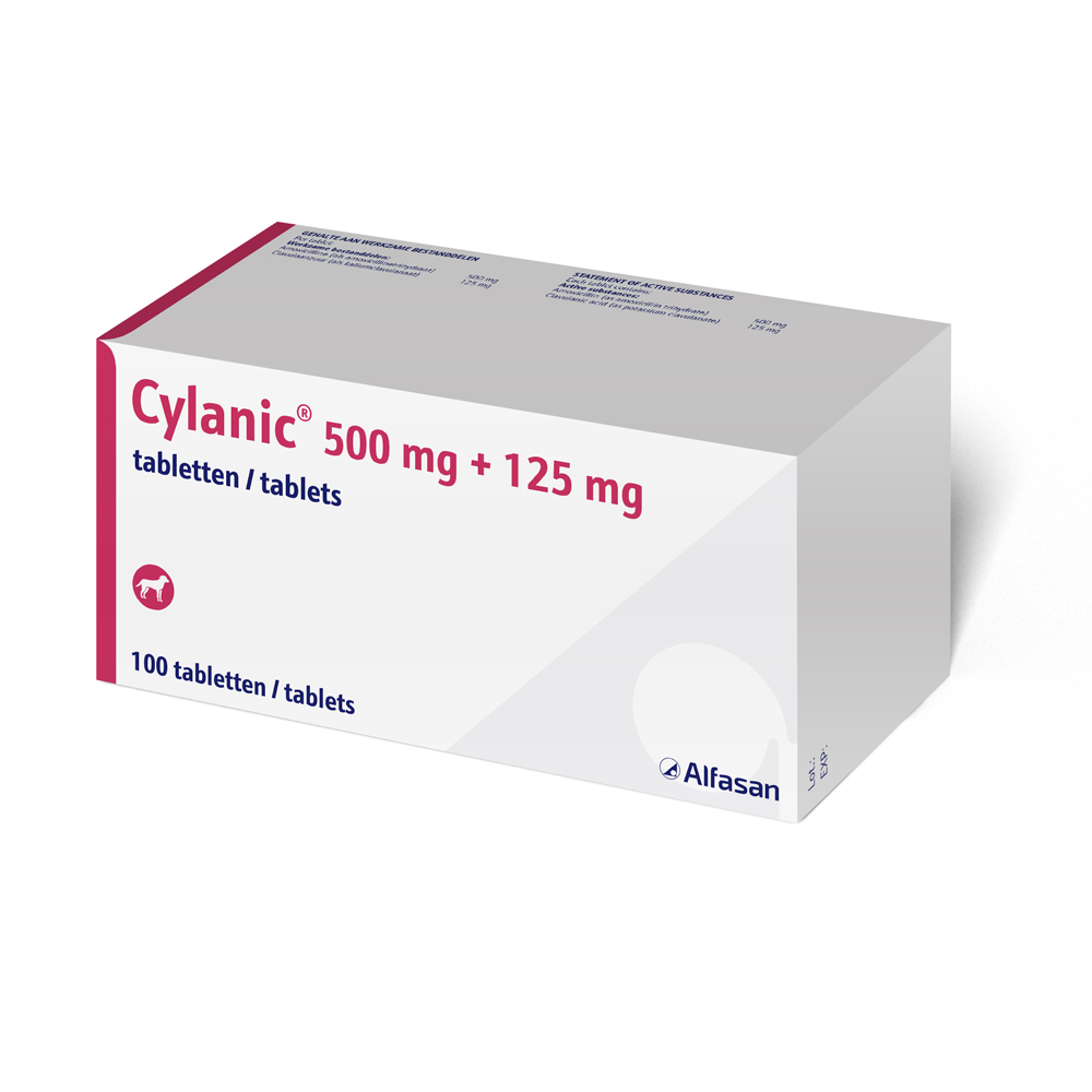 Cylanic 500 mg+125 mg tabletten / 100 tabletten / Amoxicilline ...