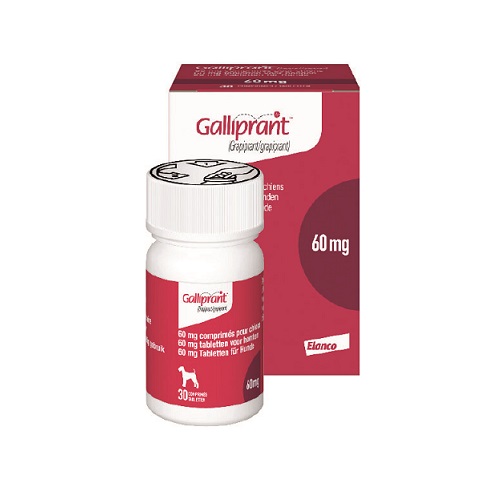 Galliprant 60 mg / 30 tabletten voor honden - AA-Vet Diergeneesmiddelen