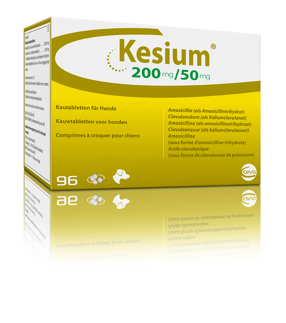 Kesium 200 mg / 50 mg / Tabletten / Amoxicilline; Clavulaanzuur / 96 ...