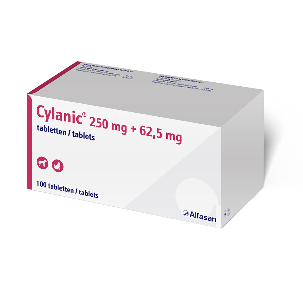 Cylanic 250 mg+62,5 mg tabletten / 100 tabletten / Amoxicilline ...