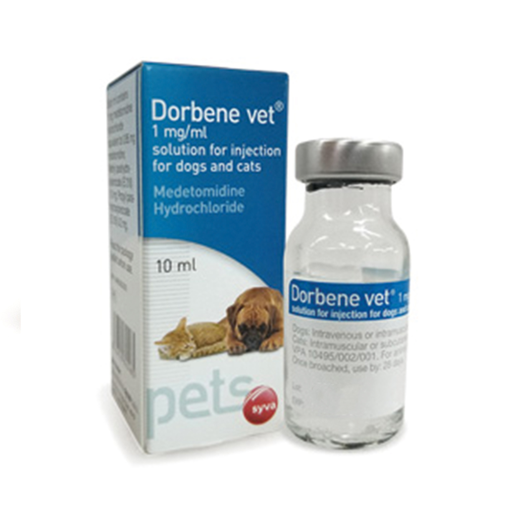 Dorbene Vet Inject Medetomidine 1,0mg/ml hond en kat / 1x10ml - AA-Vet ...