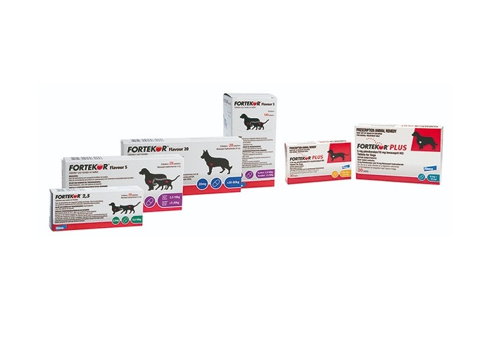 Fortekor Flavour 5 mg / Reg NL 9772 UDA / 2x14 tbl - AA-Vet ...