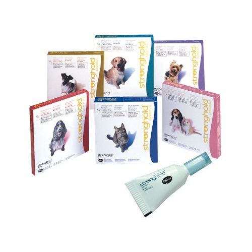 Stronghold blauw kat 2,6 - 7,5 kg / Reg NL 9813 UDA / 1x3 tube - AA-Vet ...